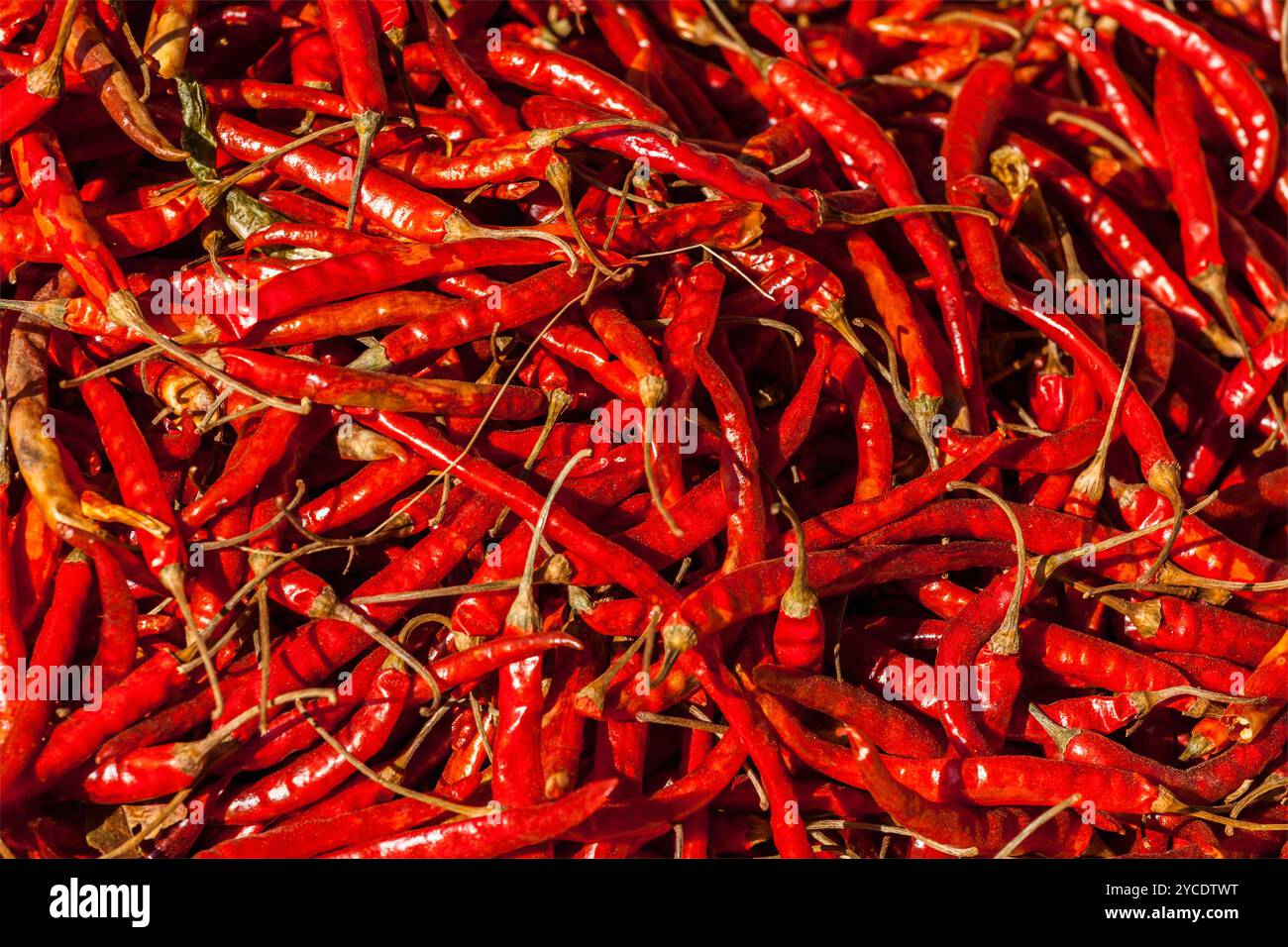 Red spicy chili peppers Stock Photo - Alamy
