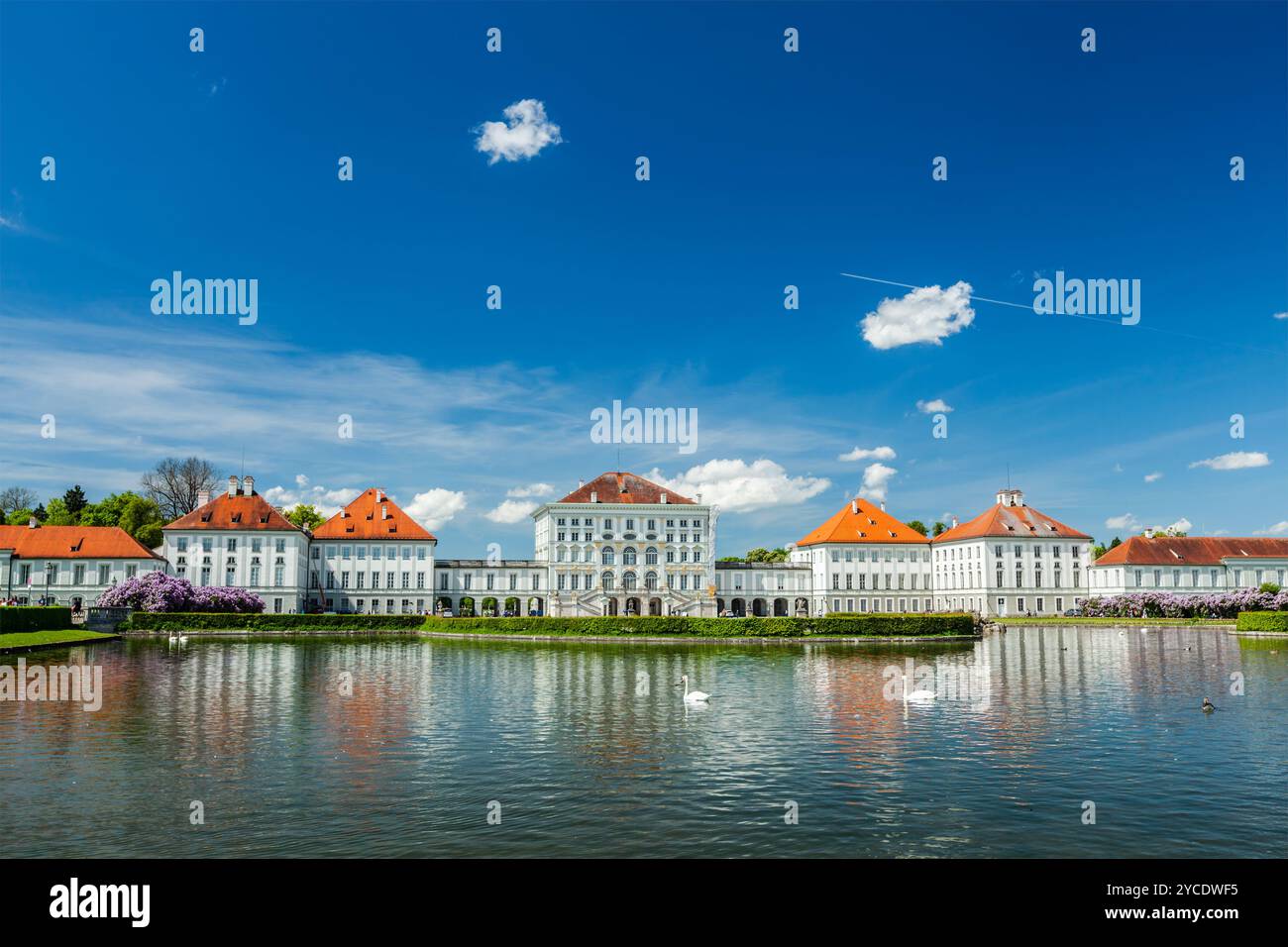 Swans in artificial pool in front of the Nymphenburg Palace. Mun Stock ...