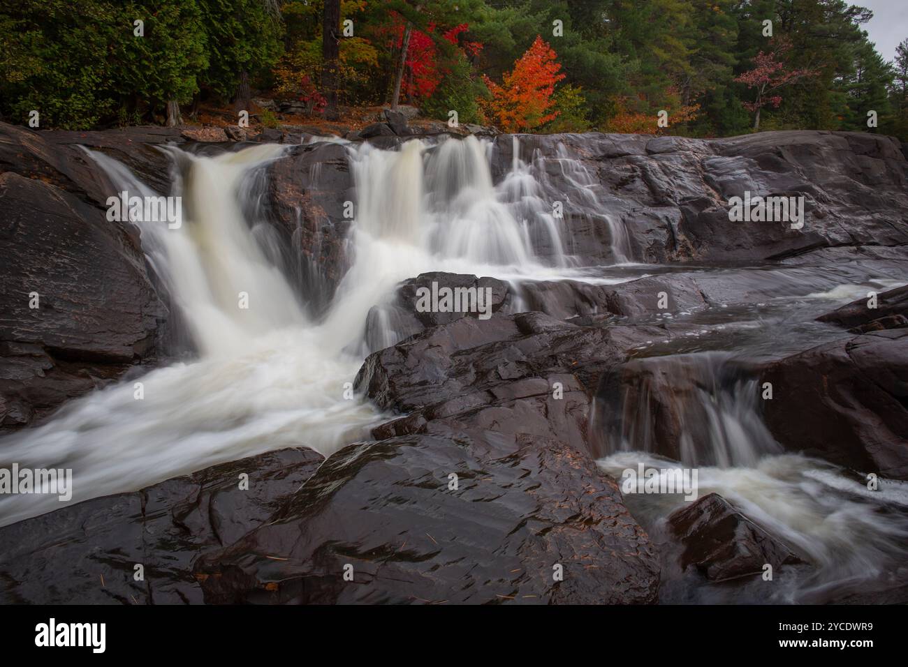 Wilson's Falls at Muskoka, Ontario, Canada Stock Photo - Alamy