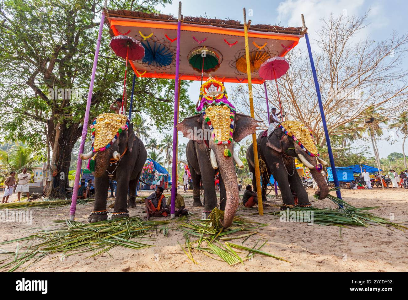 Brahmin priests south indian temple hi-res stock photography and images ...