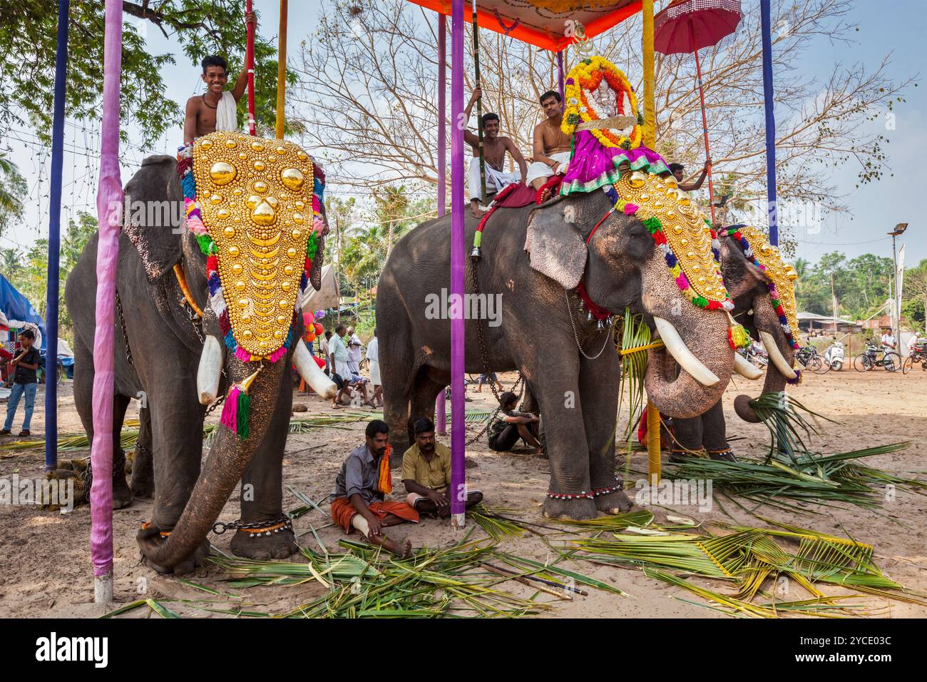 Decorated elephants with brahmins priests in Hindu temple at temple ...