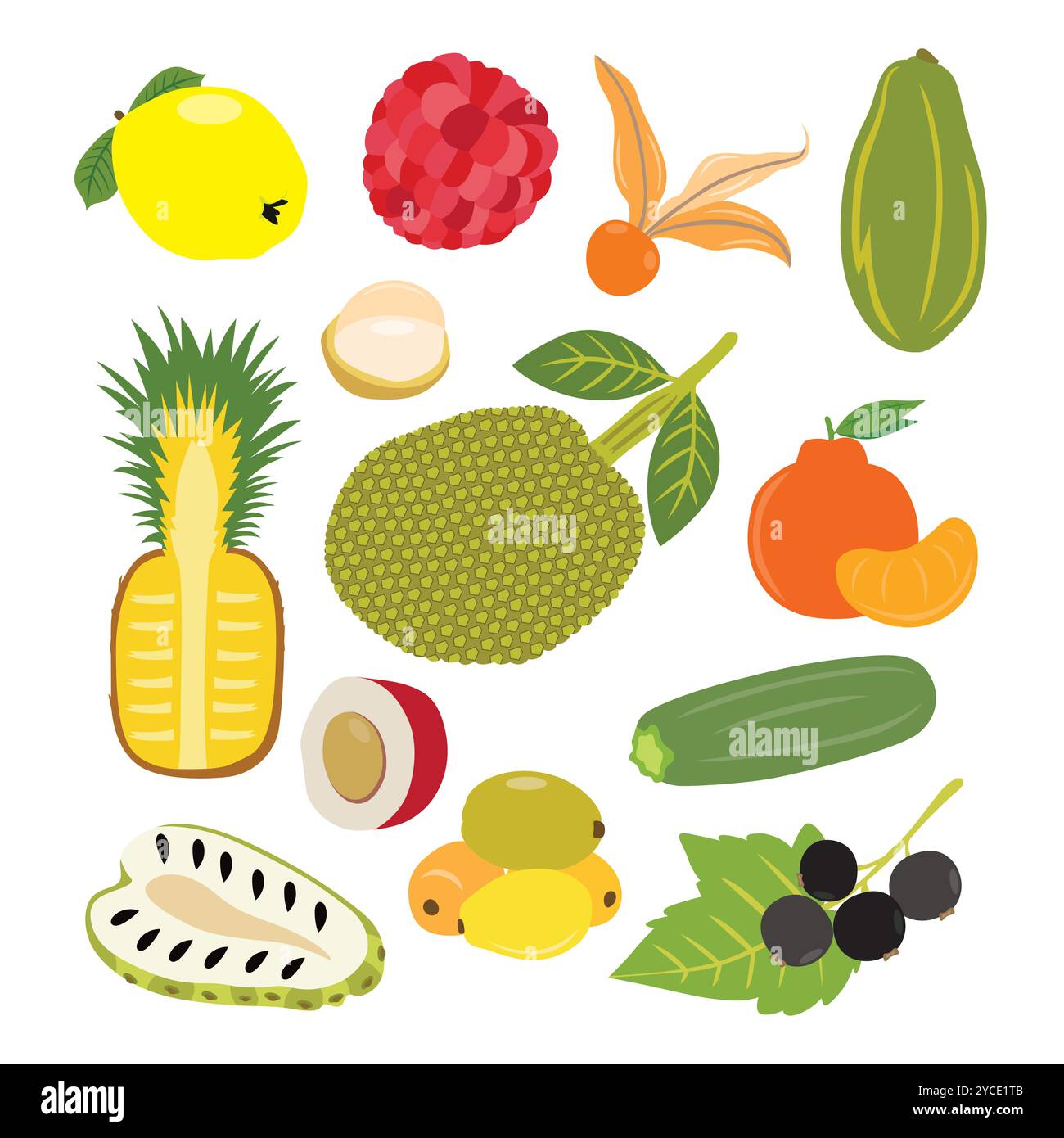 Tropical fruits fresh juice Stock Vector Images - Alamy