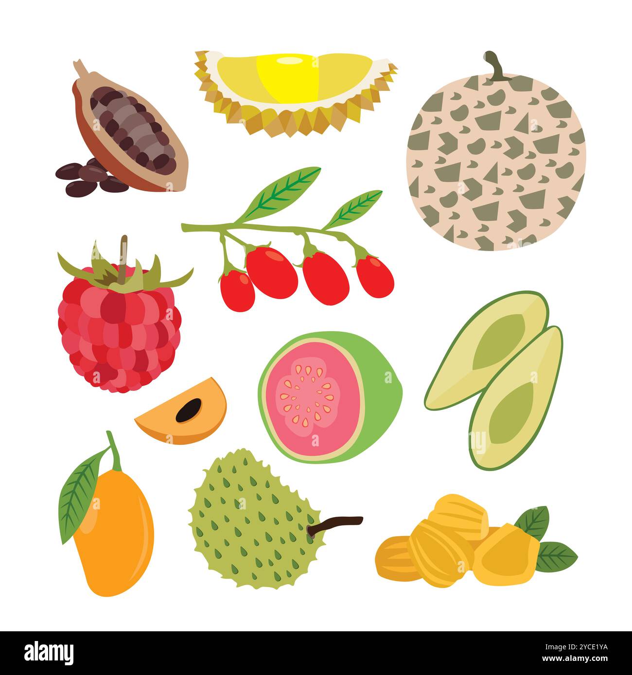 Exotic Tropical Fruits Collection. vector illustration Stock Vector ...