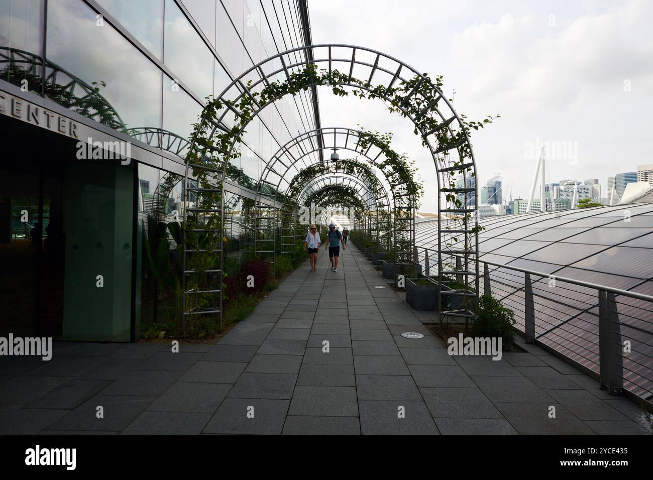 Iconic Marina Bay Sands building in Singapore Stock Photo - Alamy