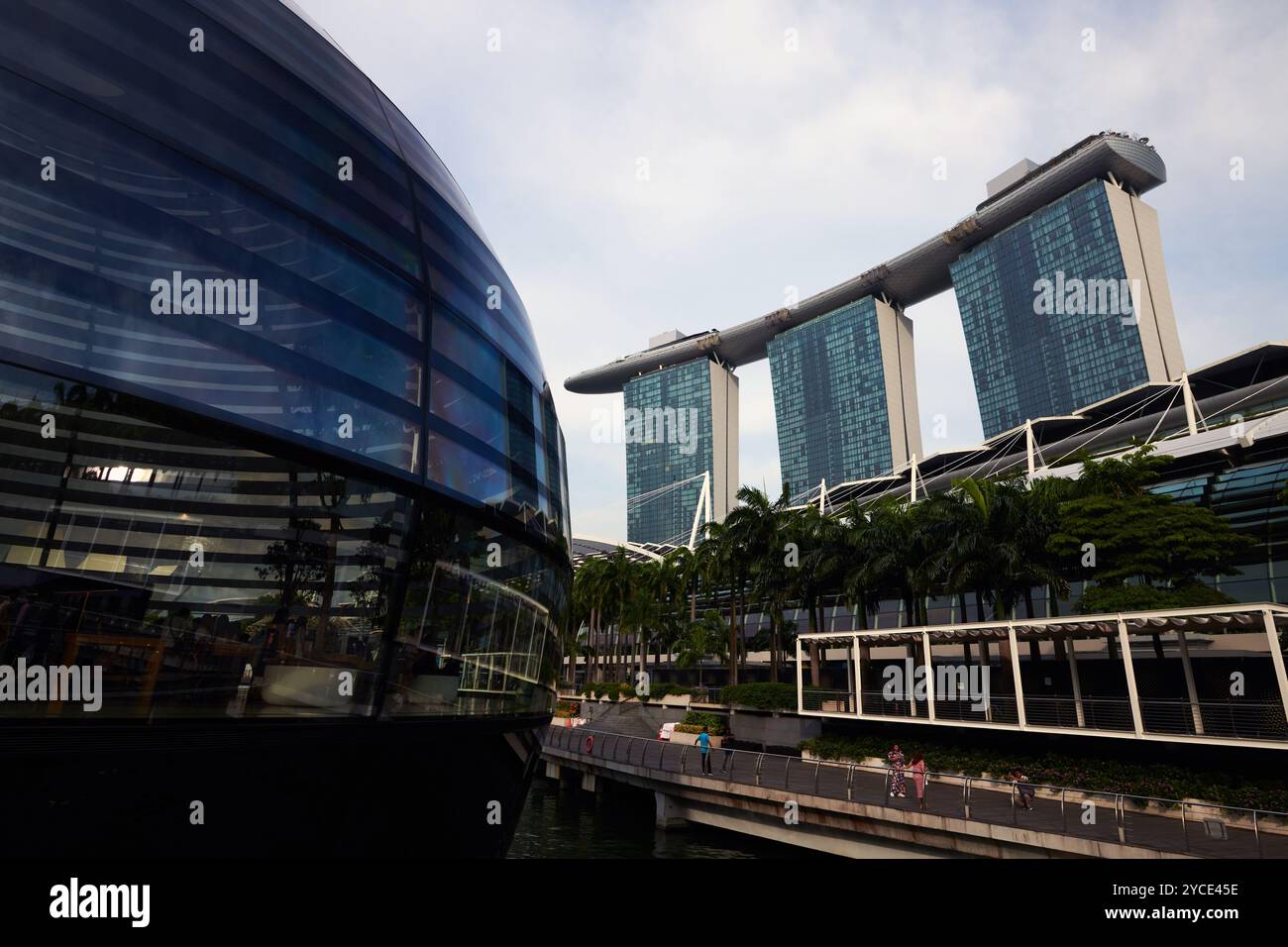 Apple flagship store in Marina Bay in Singapore Stock Photo - Alamy