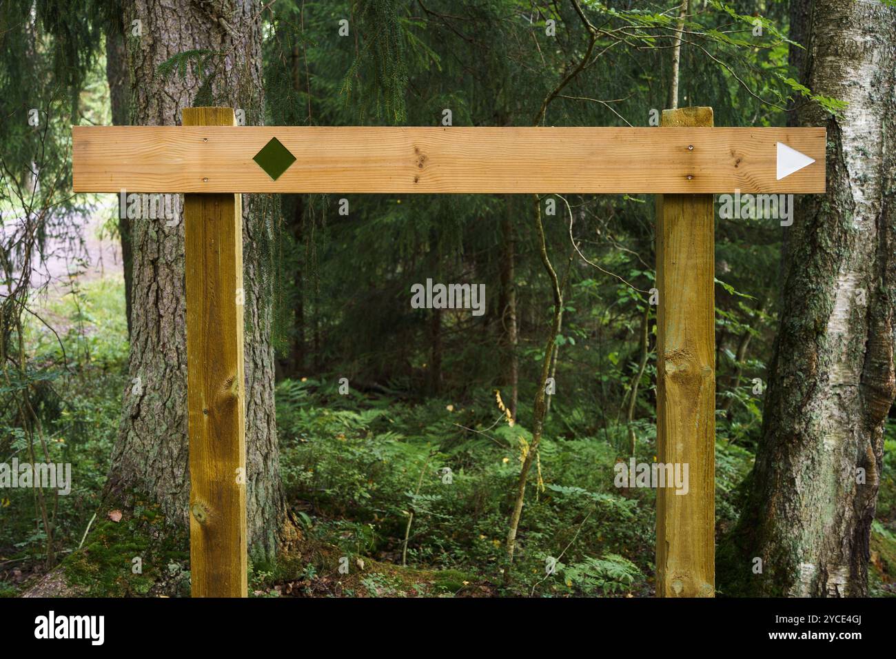 Directional pathway hi-res stock photography and images - Alamy