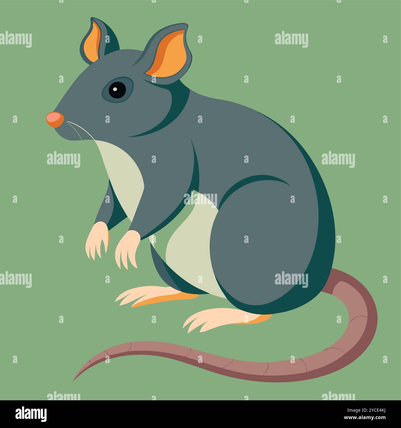 Black rat visuals hi-res stock photography and images - Alamy