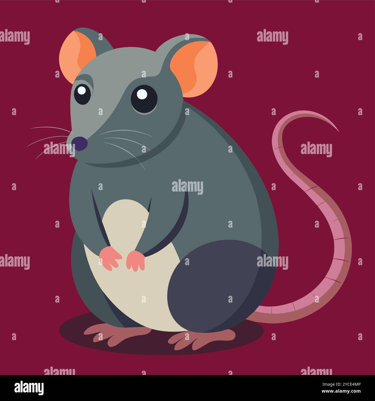 Black rat visuals hi-res stock photography and images - Alamy