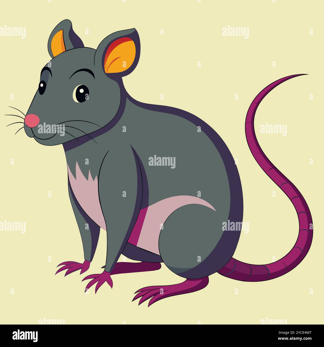Black rat visuals hi-res stock photography and images - Alamy
