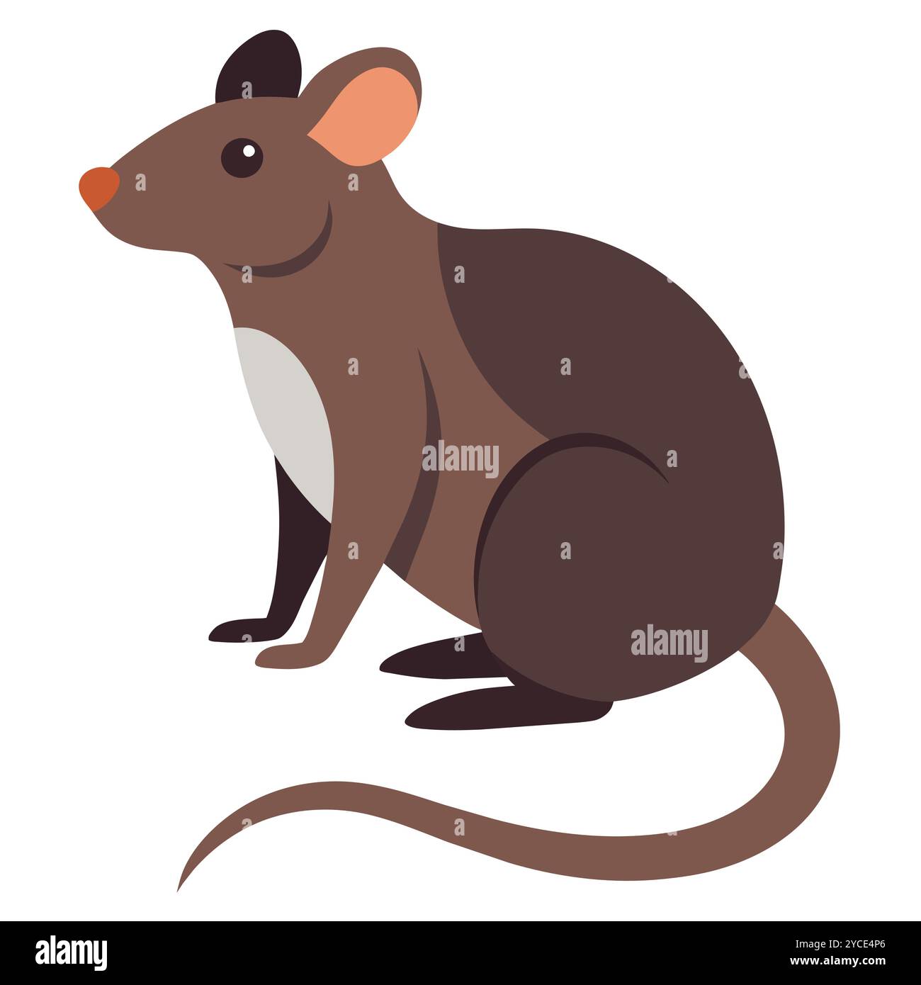 Black rat visuals hi-res stock photography and images - Alamy
