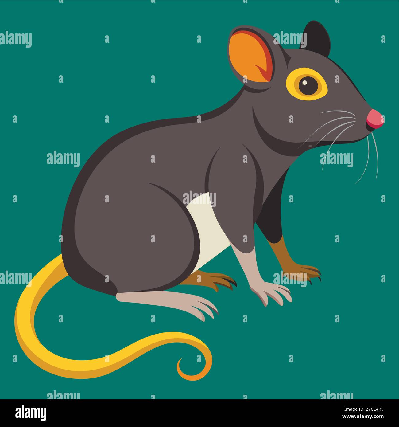 Black rat visuals hi-res stock photography and images - Alamy