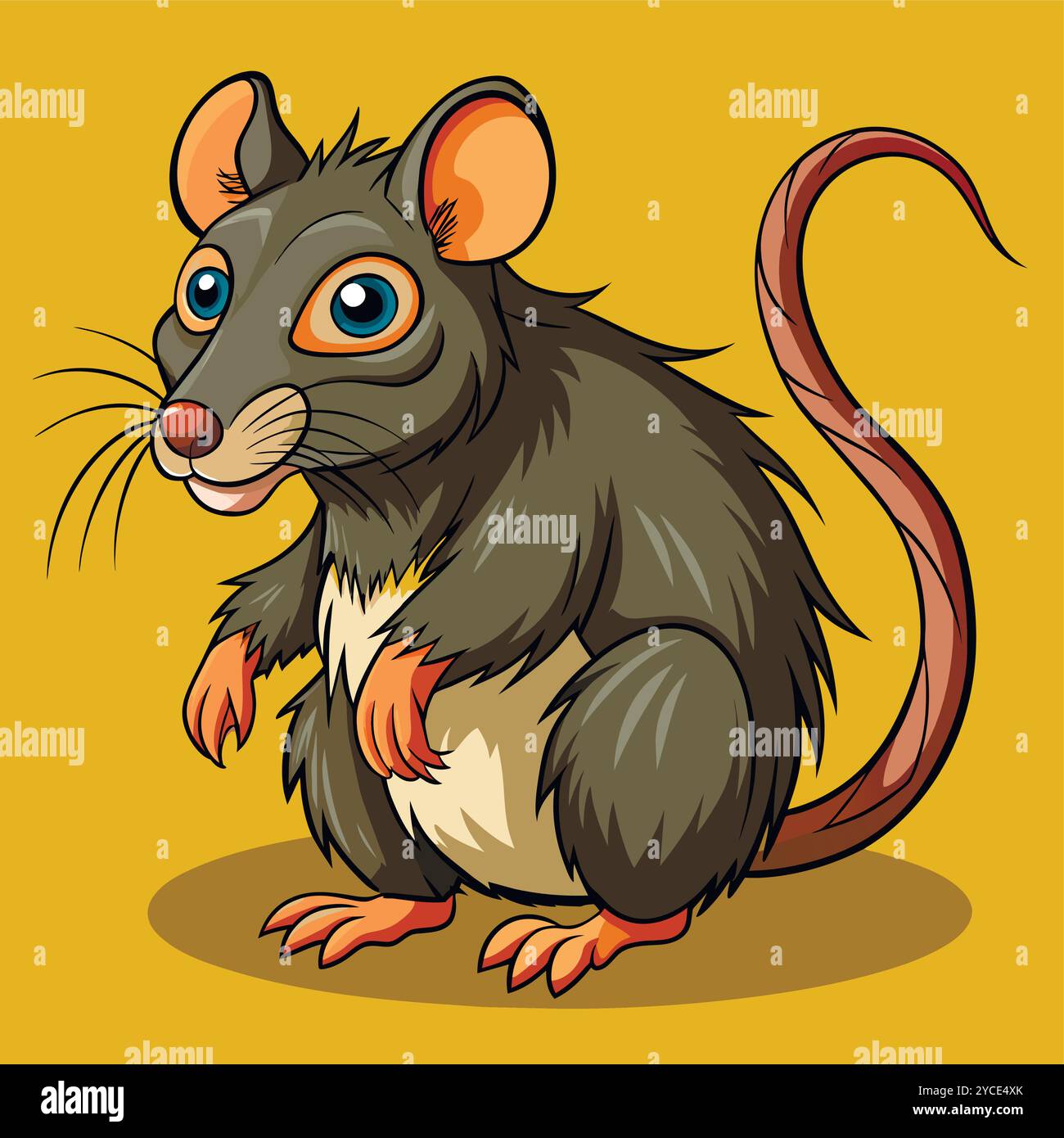 Black rat visuals hi-res stock photography and images - Alamy