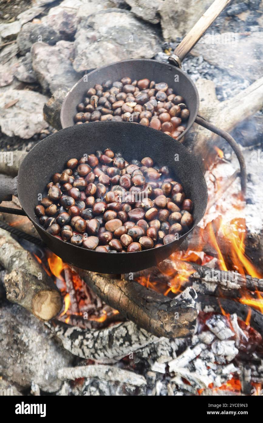 The tradition of autumn chestnuts roast cooked in a pan with holes ...