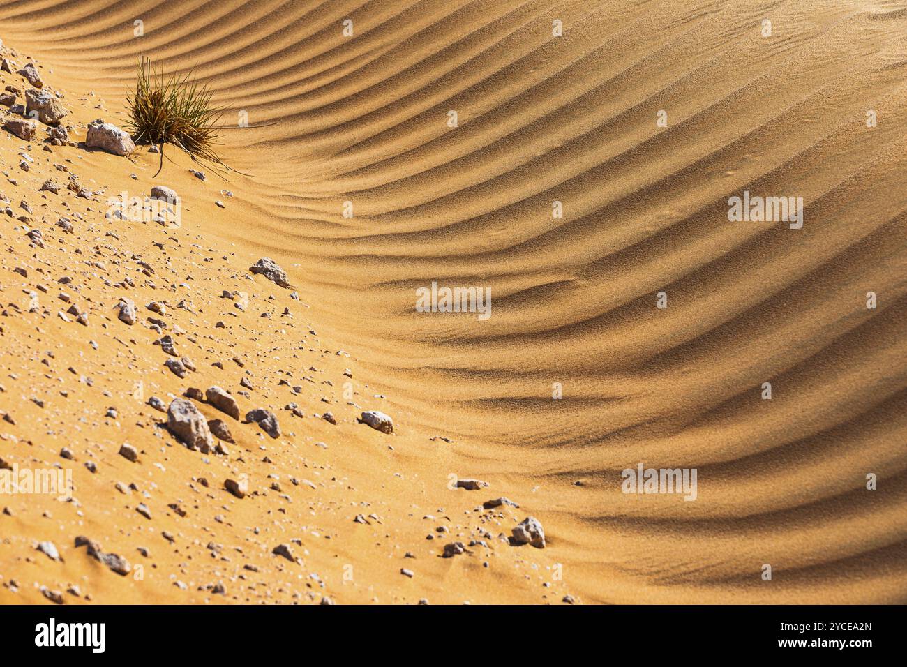 Wind-sculpted sand structure in the Rub al Khali desert, Dhofar ...