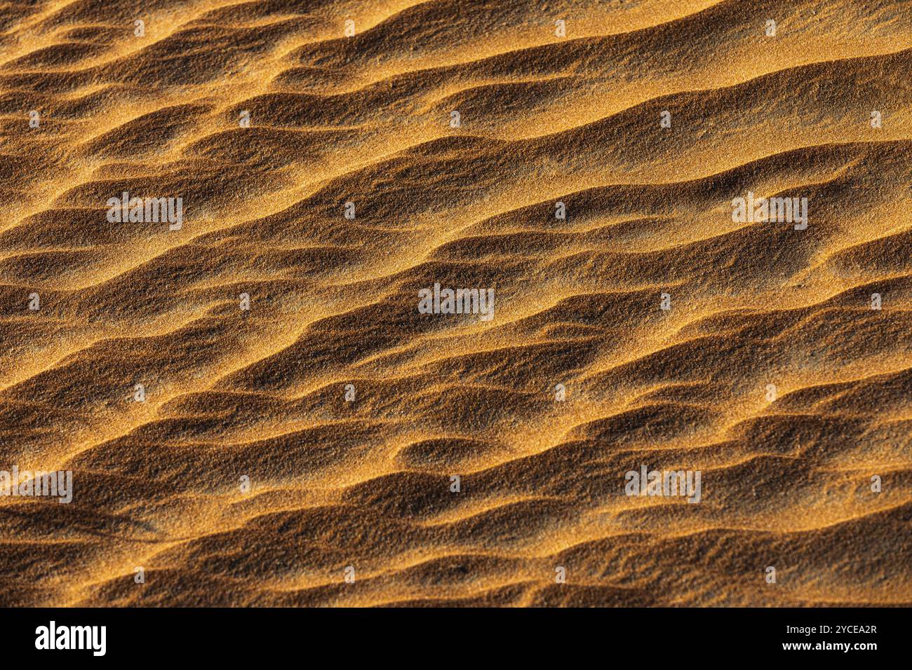Wind-sculpted sand structure in the Rub al Khali desert, Dhofar ...