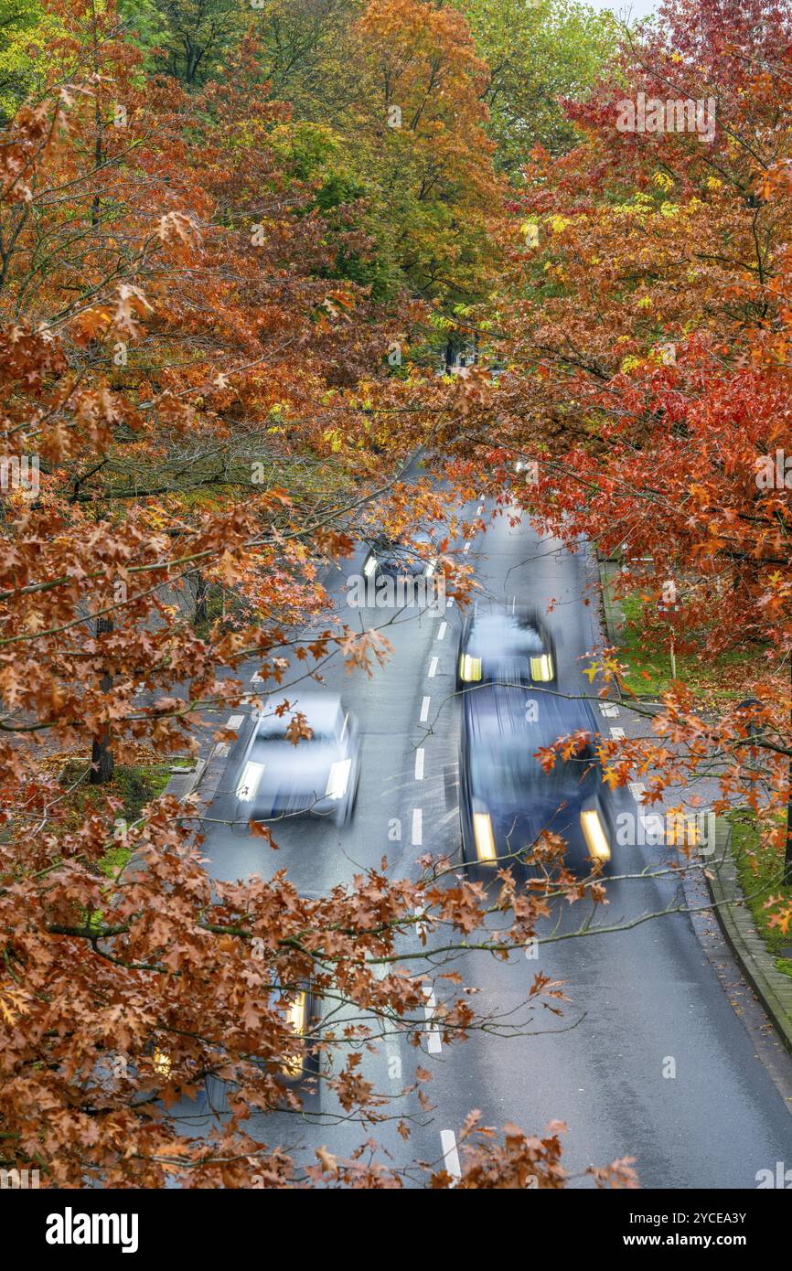Traffic hazards in autumn hi-res stock photography and images - Alamy