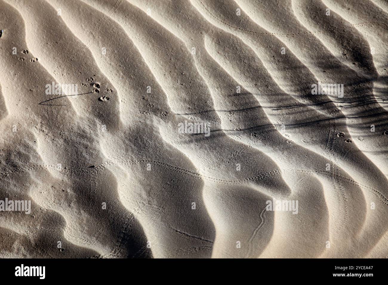 Wind textures on sand in Sahara Stock Photo - Alamy