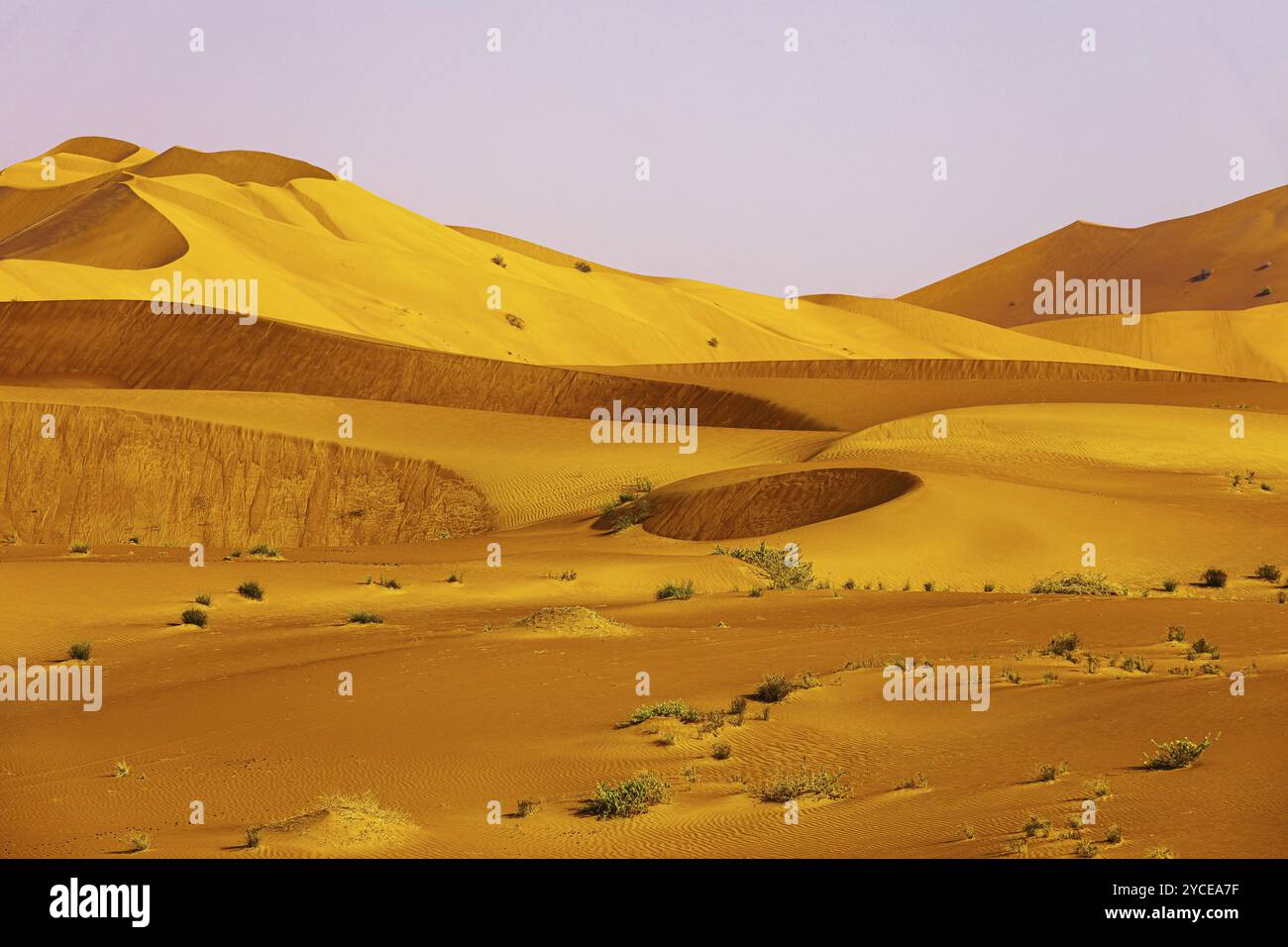 Wind-sculpted curved sand dunes in the Rub al Khali desert, Dhofar ...