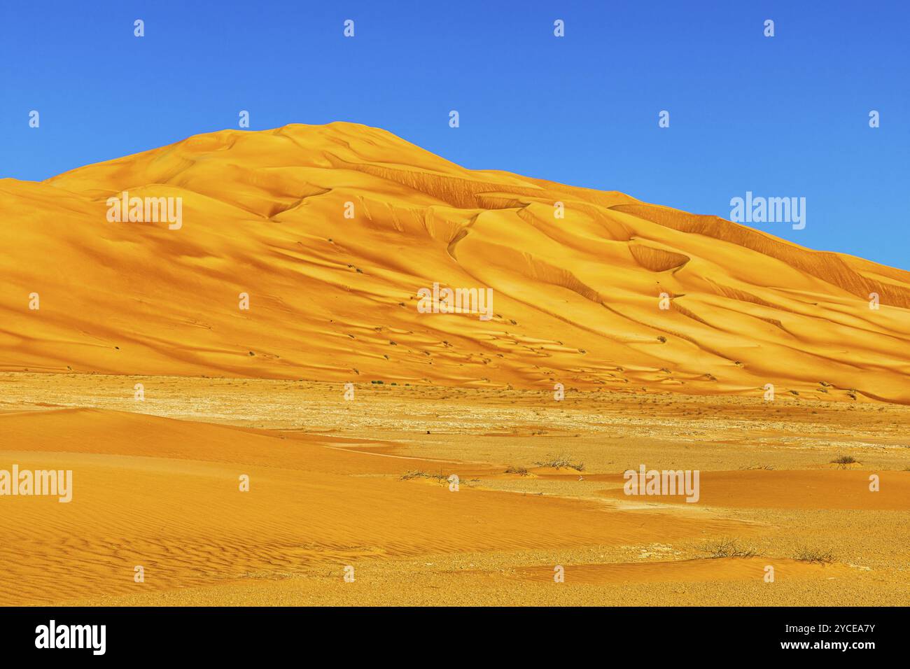 Wind-sculpted curved sand dunes in the Rub al Khali desert, Dhofar ...