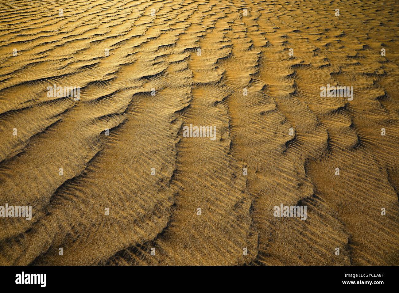 Sand structure formed by the wind, in the Rub al Khali desert, Dhofar ...