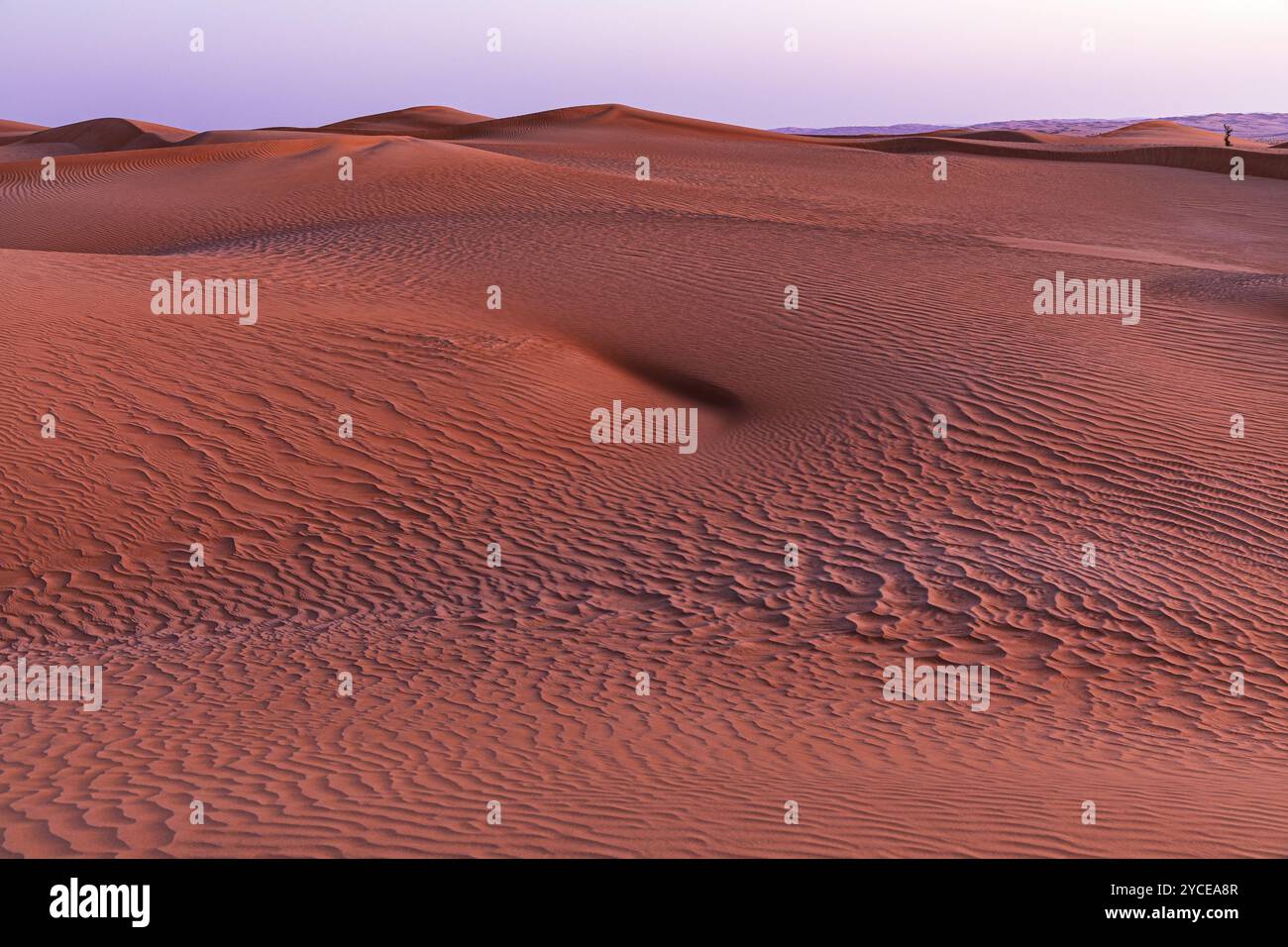 Sand structure formed by the wind, in the Rub al Khali desert, Dhofar ...