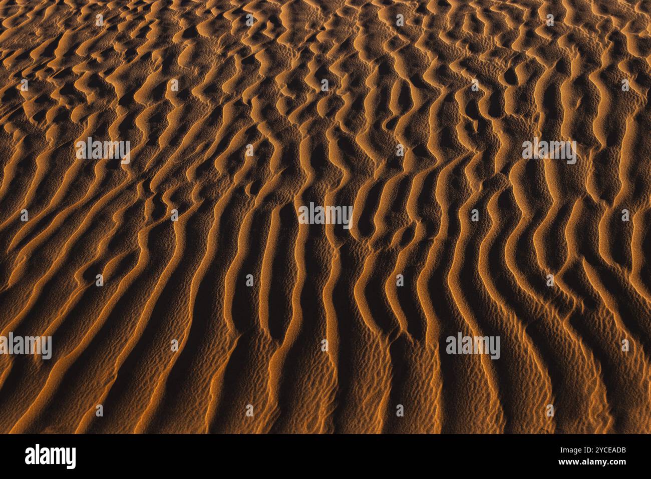 Wind-sculpted sand structure in the Rub al Khali desert, Dhofar ...