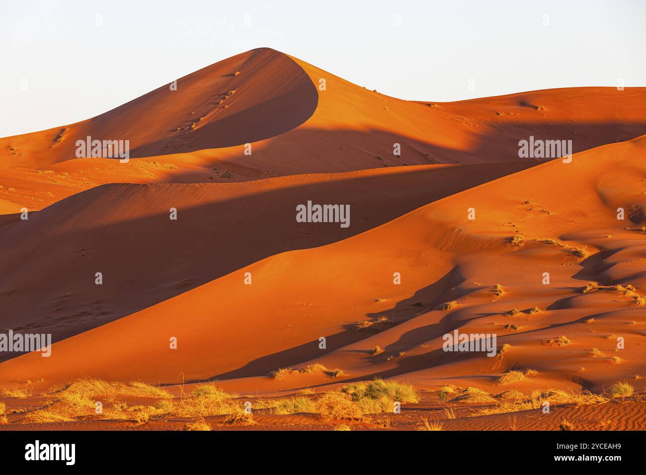 Wind-sculpted curved sand dunes in the evening light, in the Rub al ...