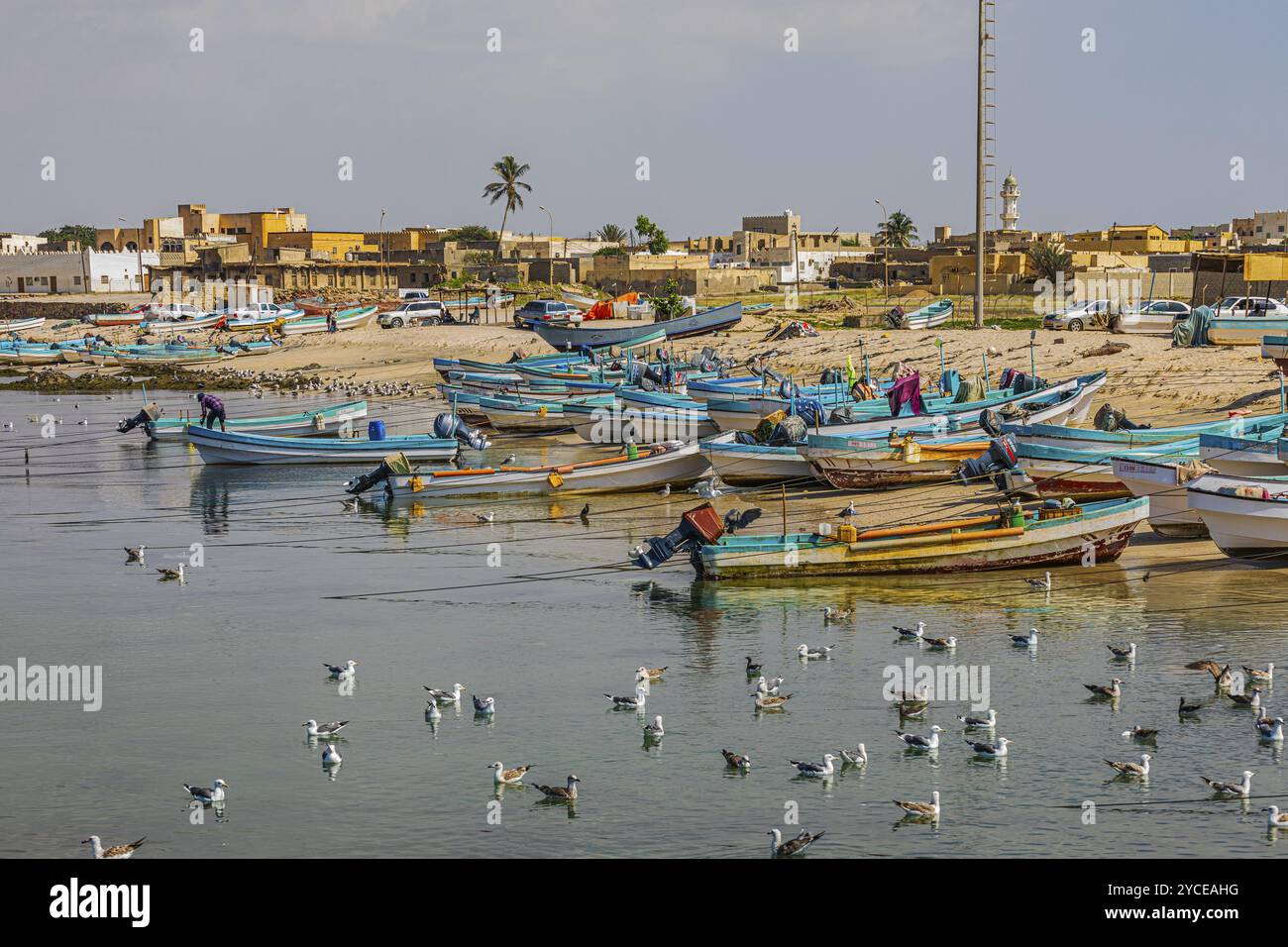 Fishing boats anchored in the harbour of Mirbat, Dhofar Province ...