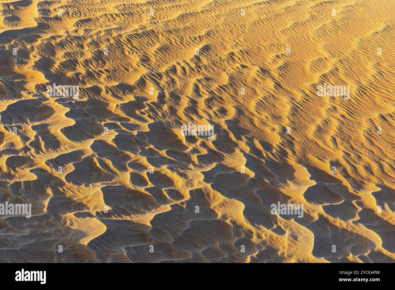 Sand structure formed by the wind, in the Rub al Khali desert, Dhofar ...
