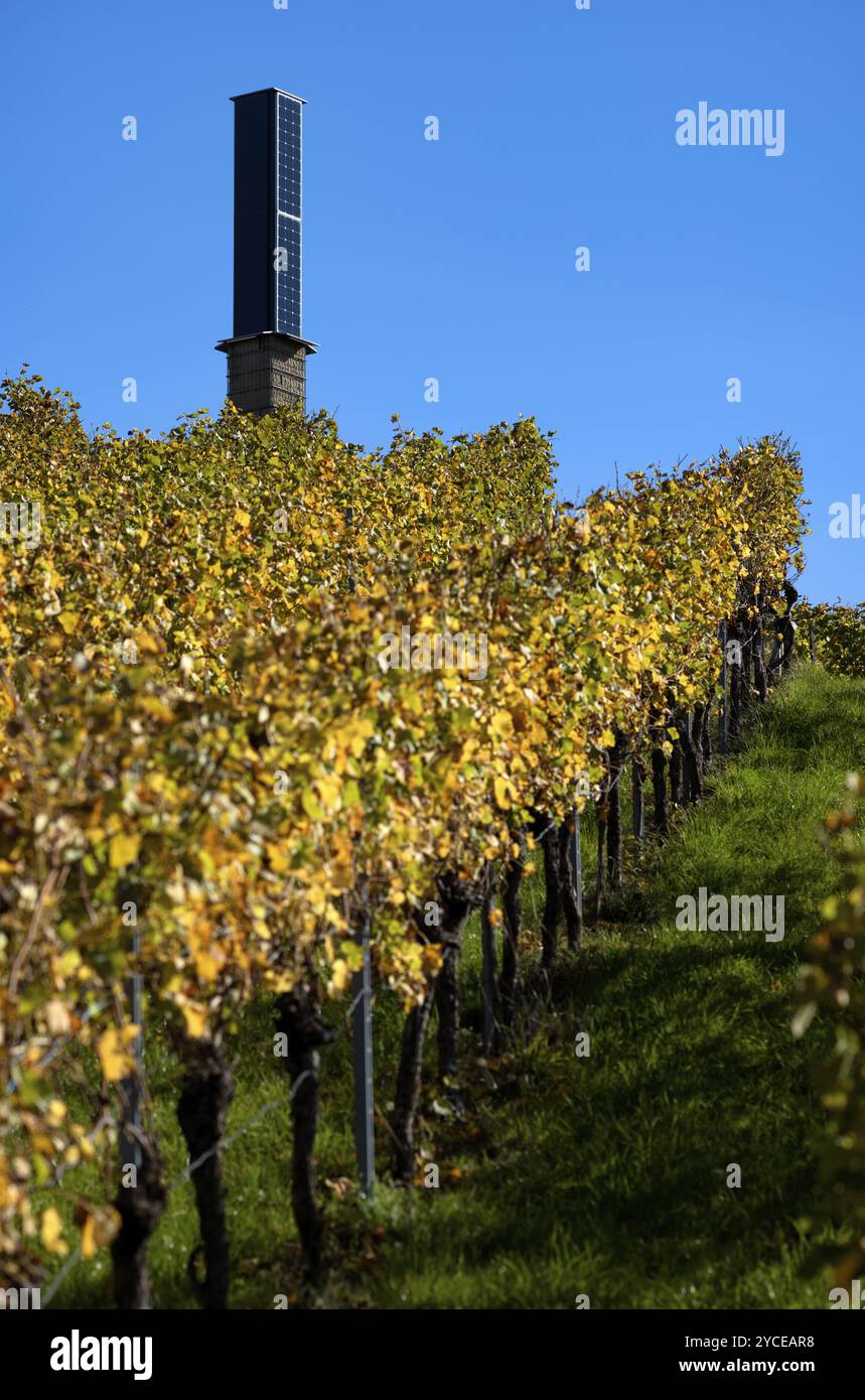 Agricultural production using renewable hi-res stock photography and ...