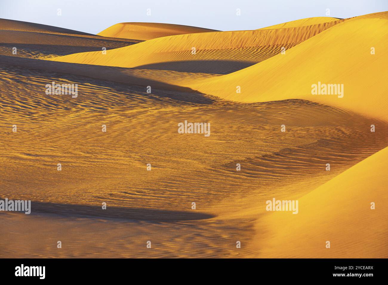 Wind-sculpted curved sand dunes in the Rub al Khali desert, Dhofar ...