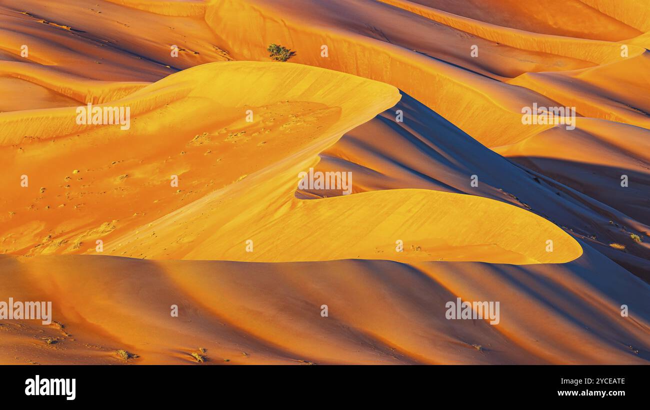 Wind-sculpted, curved, sand dunes in the Rub al Khali desert, Dhofar ...
