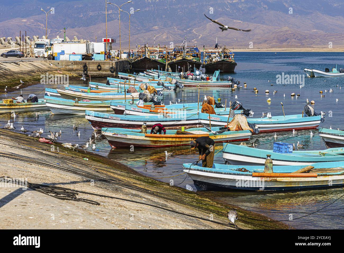 Fishing boats anchored in the harbour of Mirbat, Dhofar Province ...