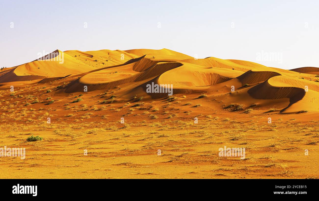 Wind-sculpted curved sand dunes in the Rub al Khali desert, Dhofar ...