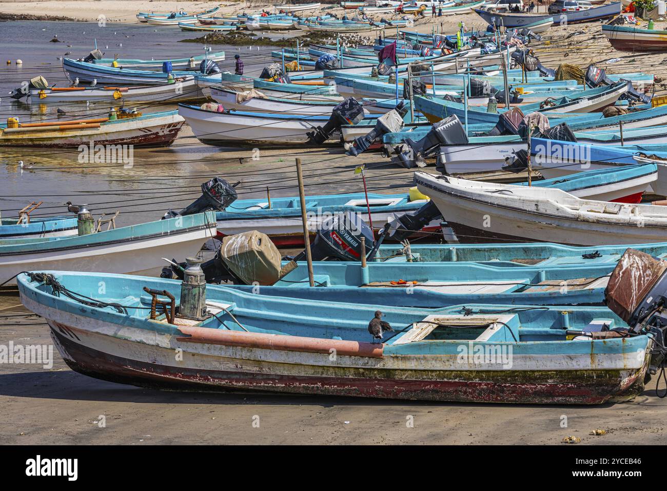 Fishing boats anchored in the harbour of Mirbat, Dhofar Province ...
