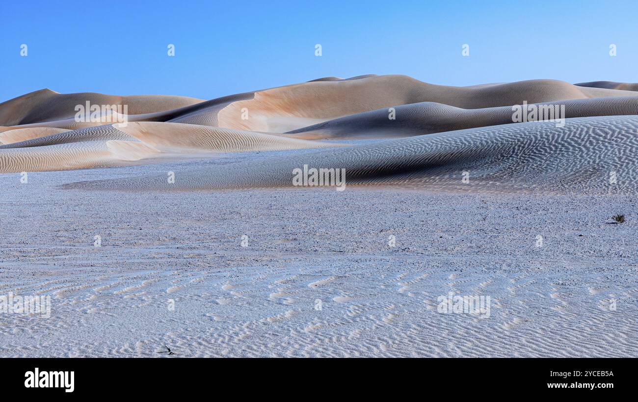 Wind-sculpted curved sand dunes in the Rub al Khali desert, Dhofar ...