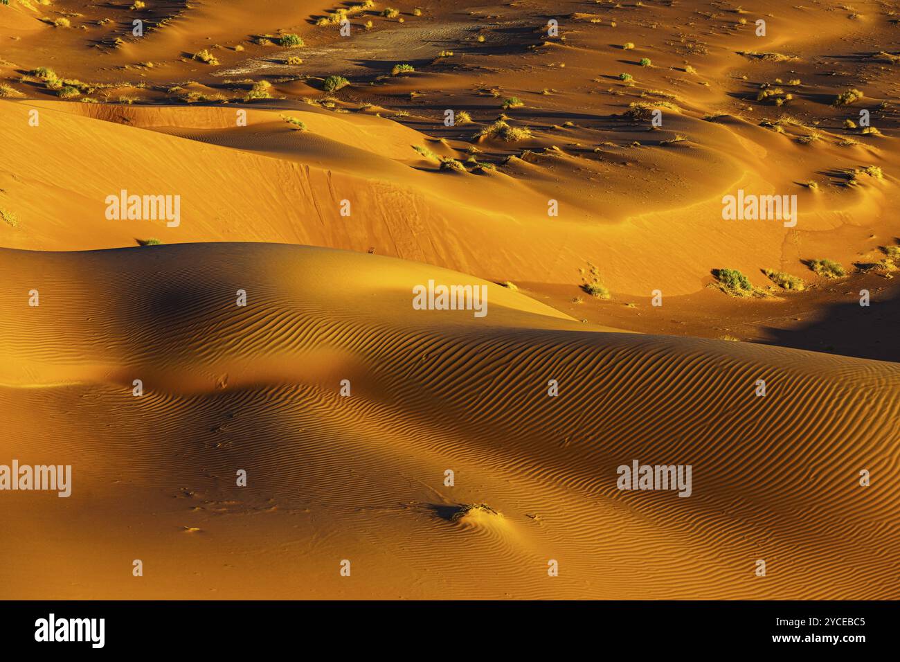 Wind-sculpted sand structure with green vegetation, in the Rub al Khali ...