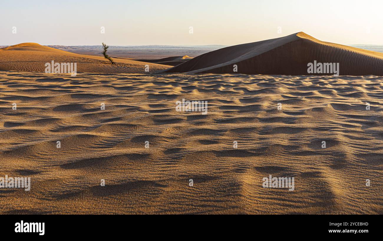 Sand structure formed by the wind, in the Rub al Khali desert, Dhofar ...