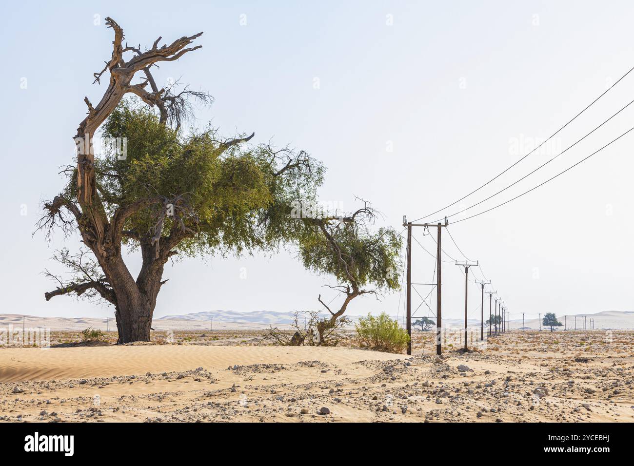 Living near power lines hi-res stock photography and images - Alamy