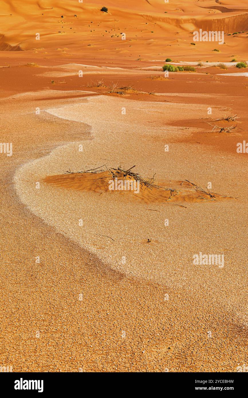 Sand structure formed by the wind, in the Rub al Khali desert, Dhofar ...