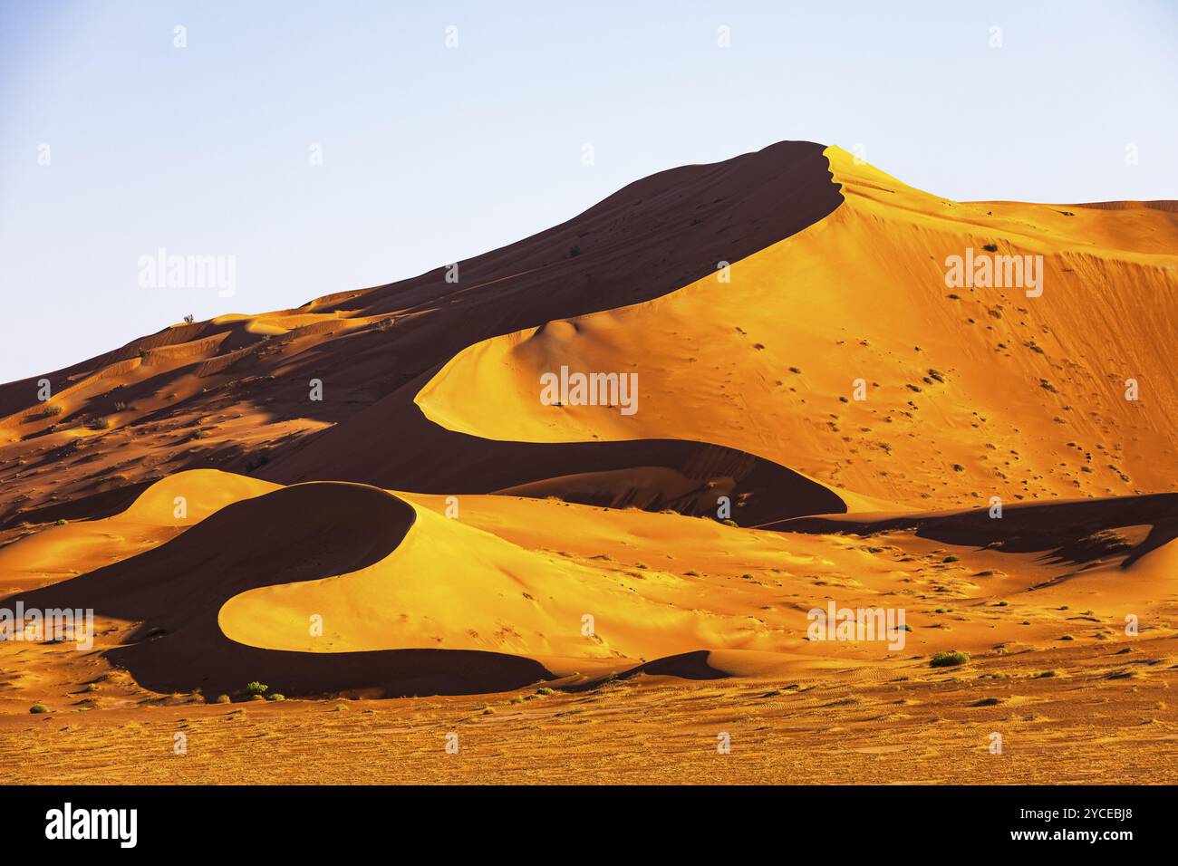 Wind-sculpted curved sand dunes in the evening light, in the Rub al ...