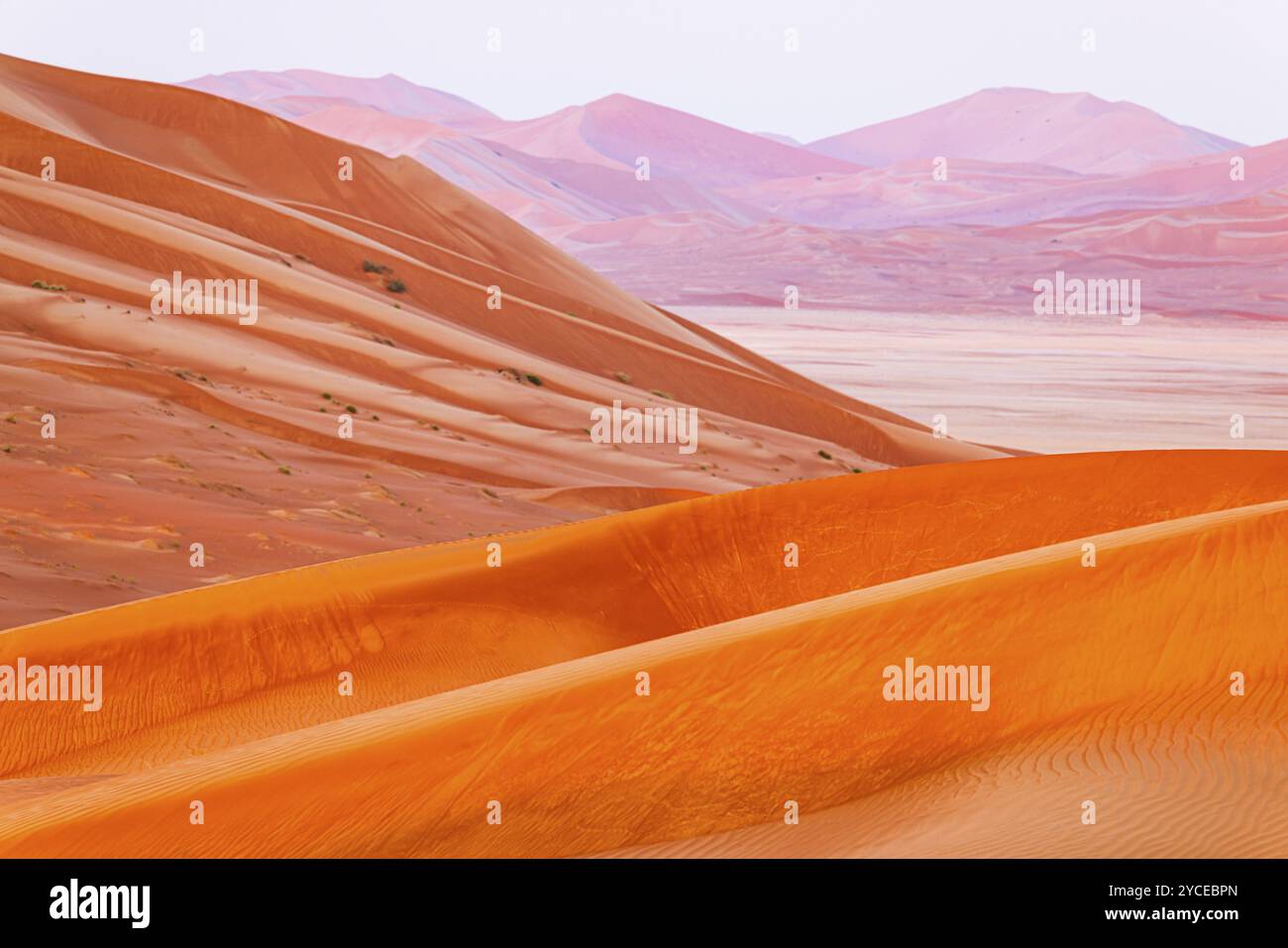 Wind-sculpted sand dunes in the Rub al Khali desert, Dhofar province ...