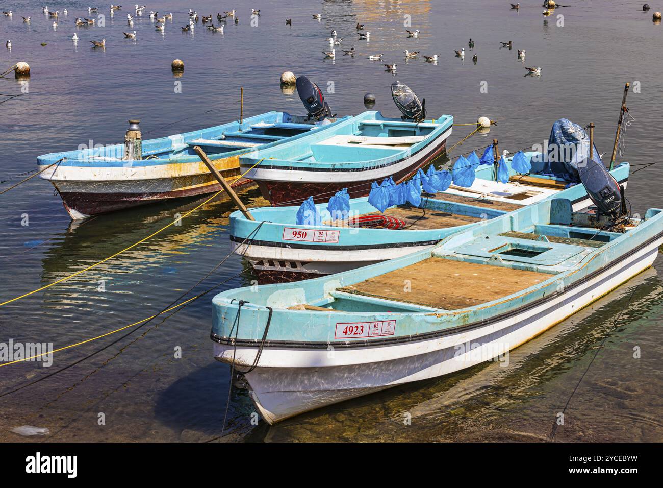 Fishing boats anchored in the harbour of Mirbat, Dhofar Province ...