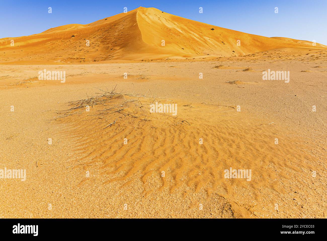 Highest sand dune in the world, Hamlet Jedelah, Rub al Khali desert ...