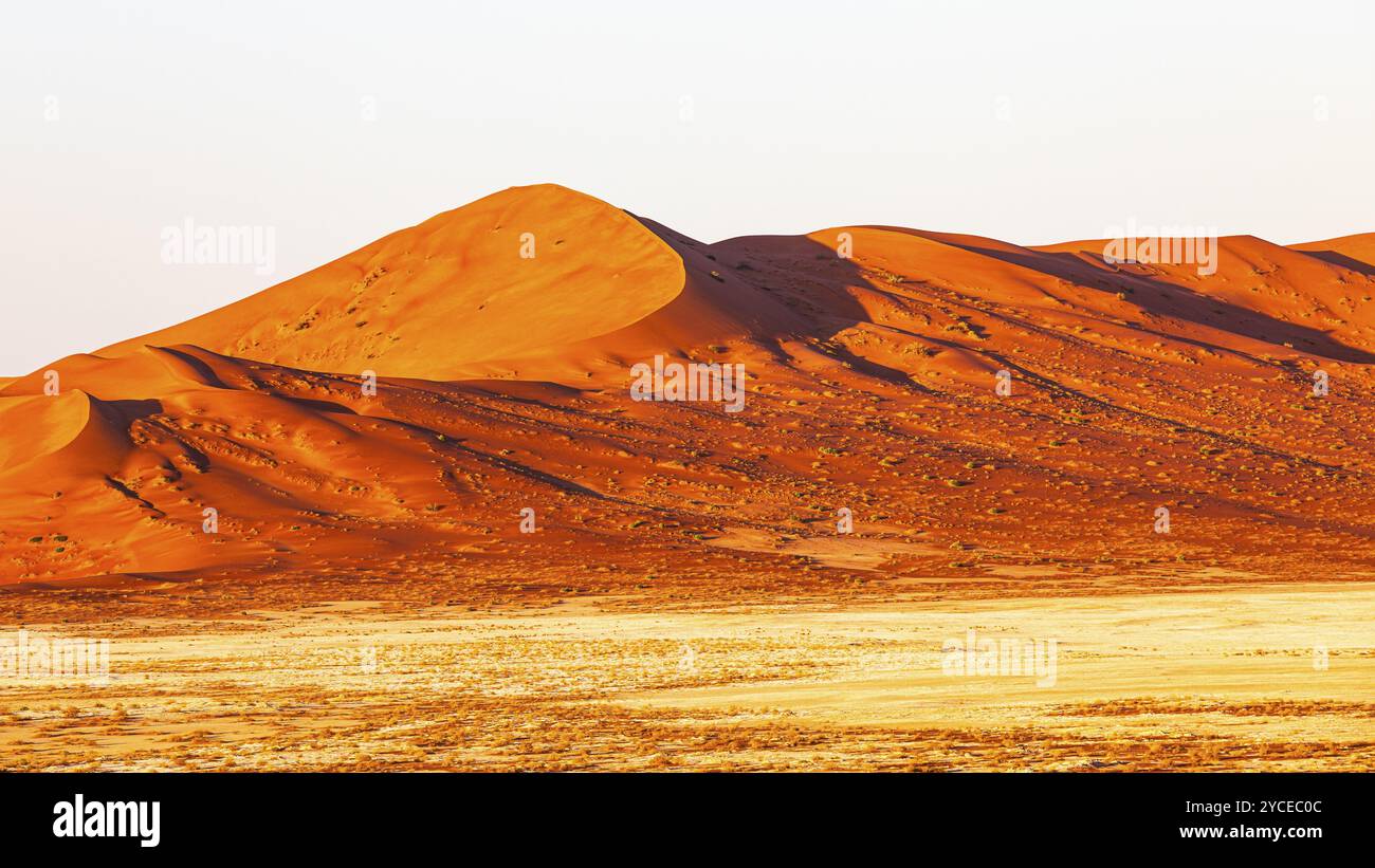 Wind-sculpted curved sand dunes in the evening light, in the Rub al ...
