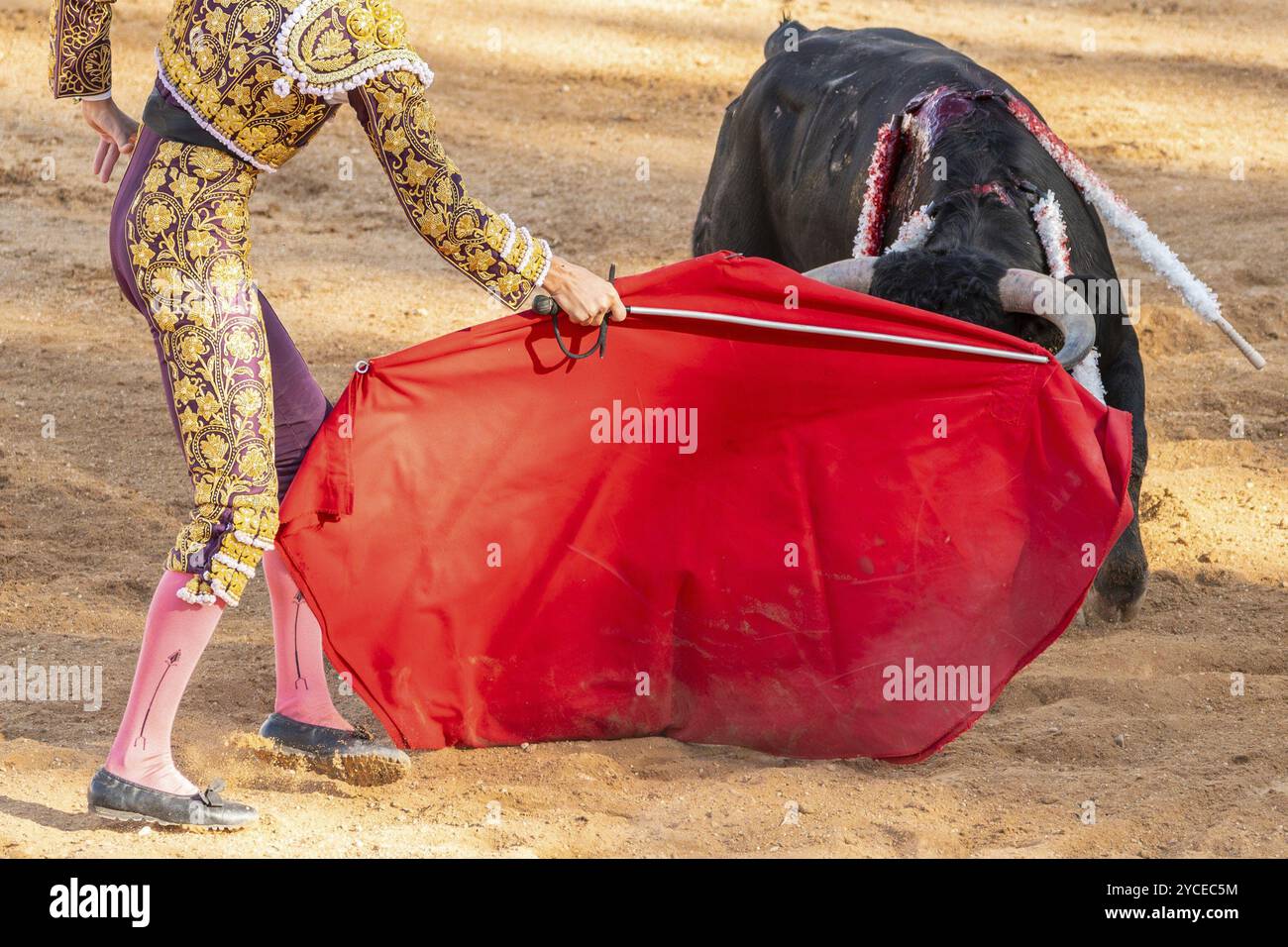 Bullfight in Spain. Spanish bullfighter in the bullfighting arena Stock ...