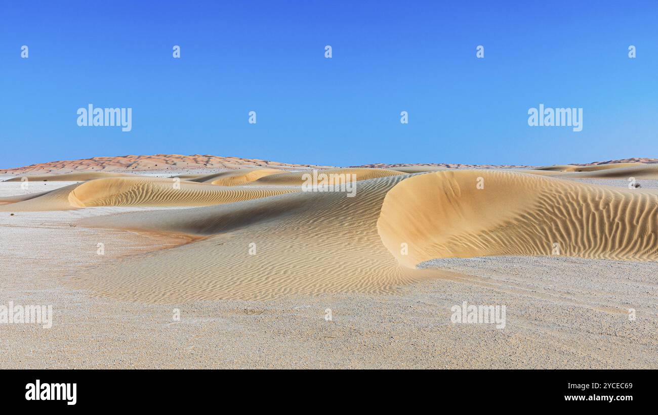 Wind-sculpted curved sand dunes in the Rub al Khali desert, Dhofar ...