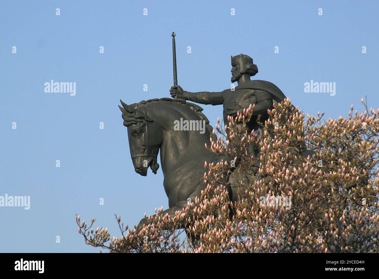 King of croatia hi-res stock photography and images - Alamy