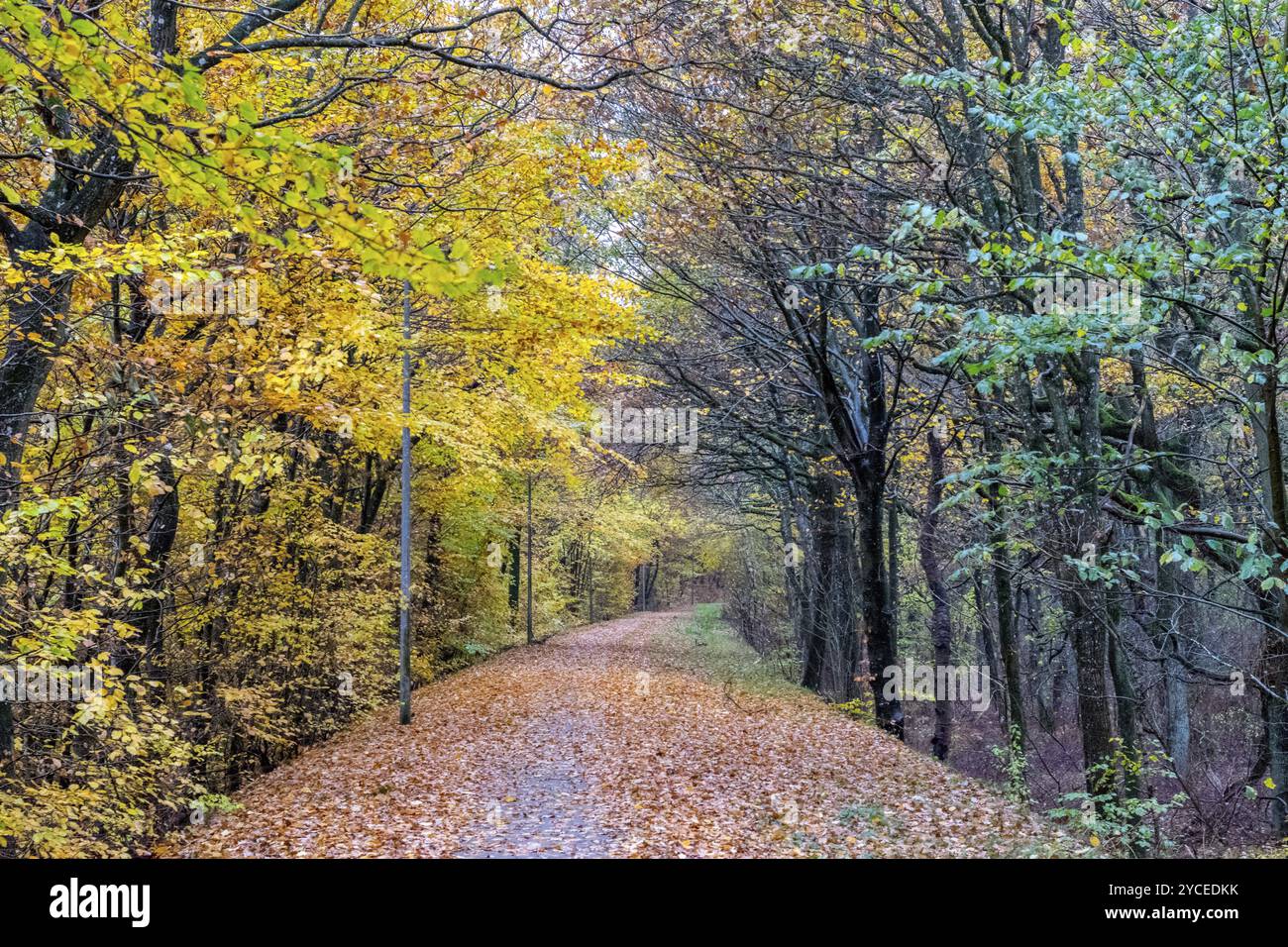 Danish photograph hi-res stock photography and images - Alamy