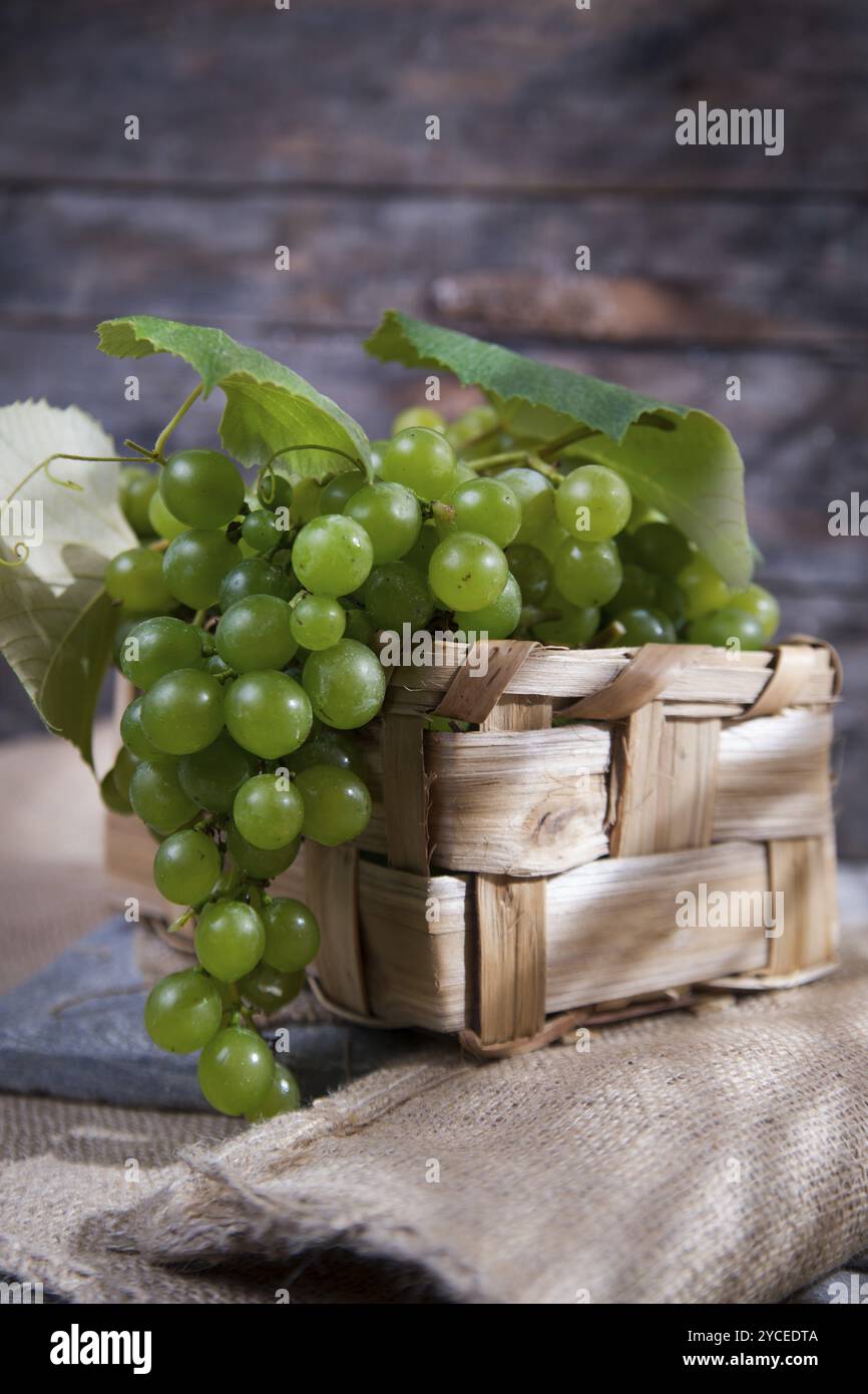 End of September, the time of the grape harvest Stock Photo - Alamy